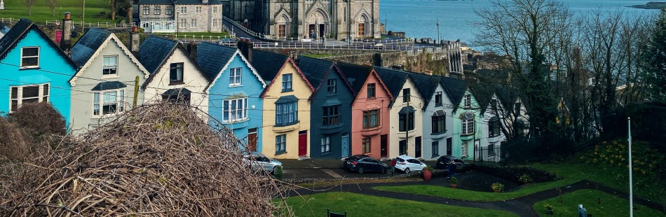 The 5 Most Popular Subjects to Study in Ireland